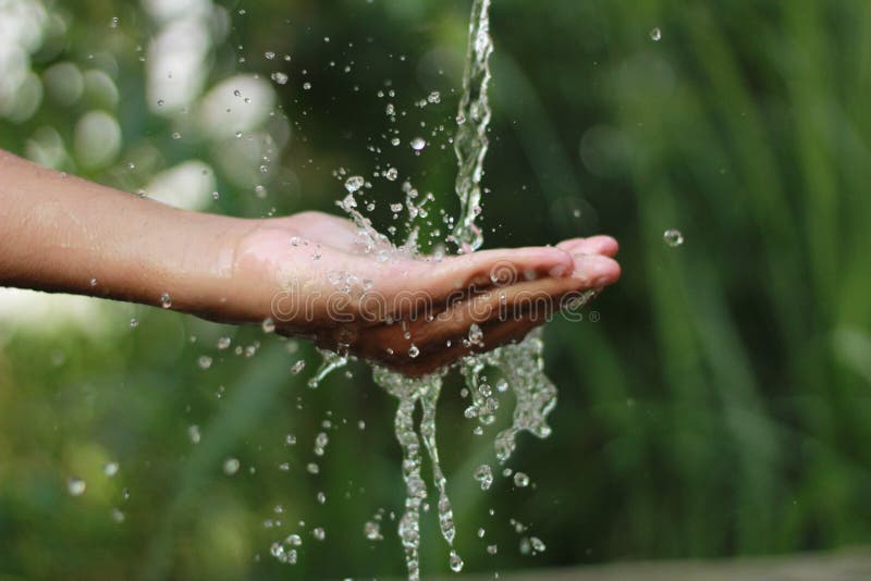 Hand water drop scene stock photo. Image of water, invertebrate - 187494268
