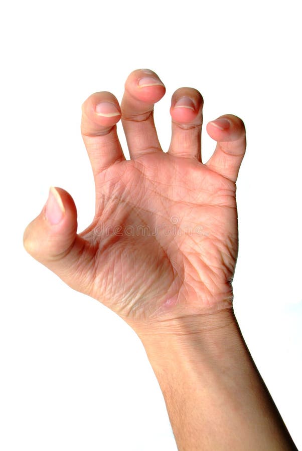 Hand palm stock photo. Image of isolated, gesture, fist - 54901454
