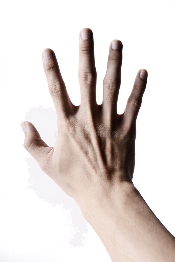 Hand on white background stock image. Image of background - 20311693