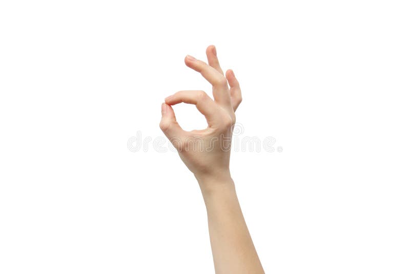 Handshake on a White Background. Body Parts. Hands on a White ...