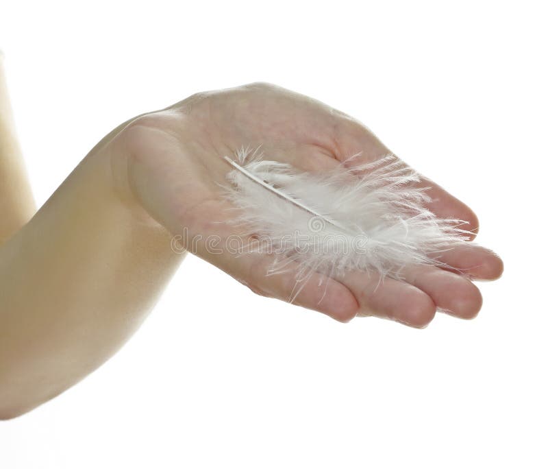 Hand with a white feather stock photo. Image of natural - 26271772