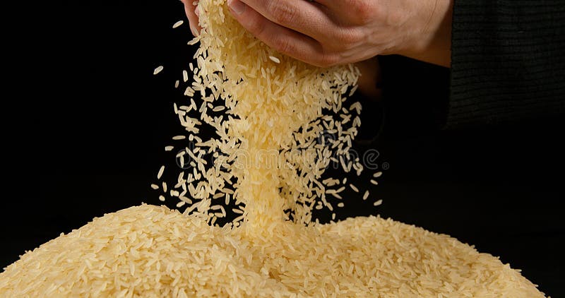 Hand of Woman and Rice Against Black Background Stock Photo - Image of ...