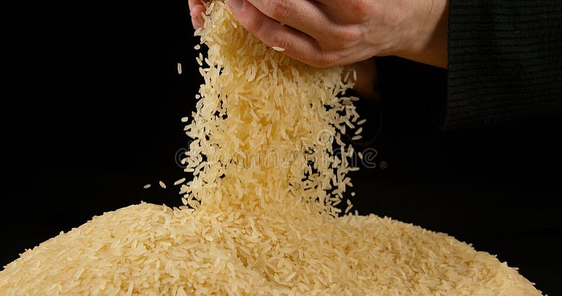 Hand of Woman and Rice Against Black Background Stock Image - Image of ...