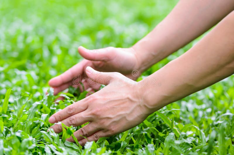 2,594 Hand Touching Grass Photos - Free & Royalty-Free Stock Photos ...