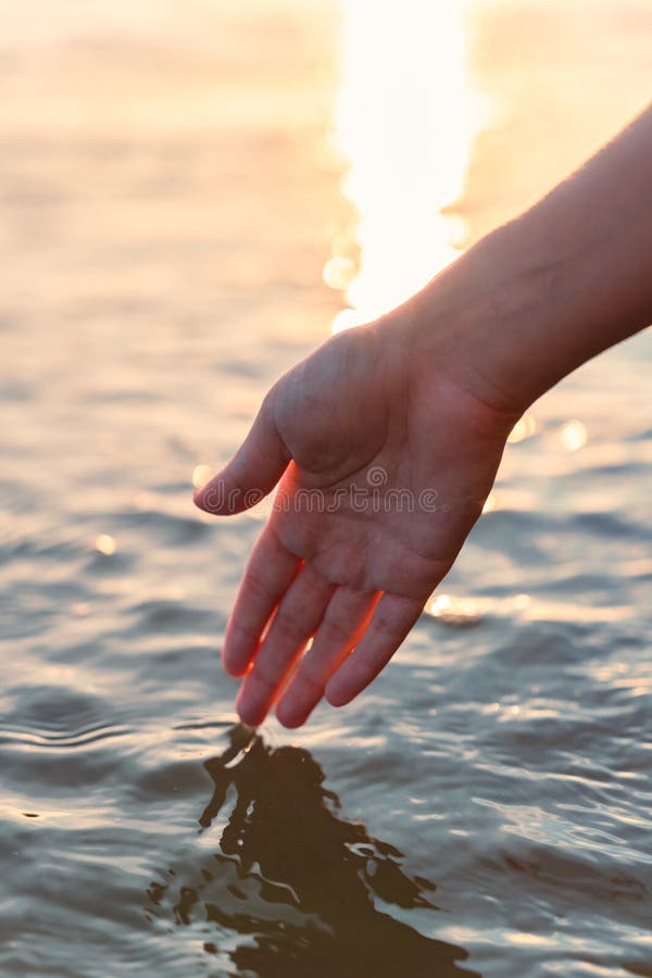 Hand of Woman Touching the Water Surface in the Sunset Stock Photo ...