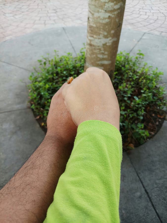 Hand by hand stock photo. Image of tree, hand, love - 164922234