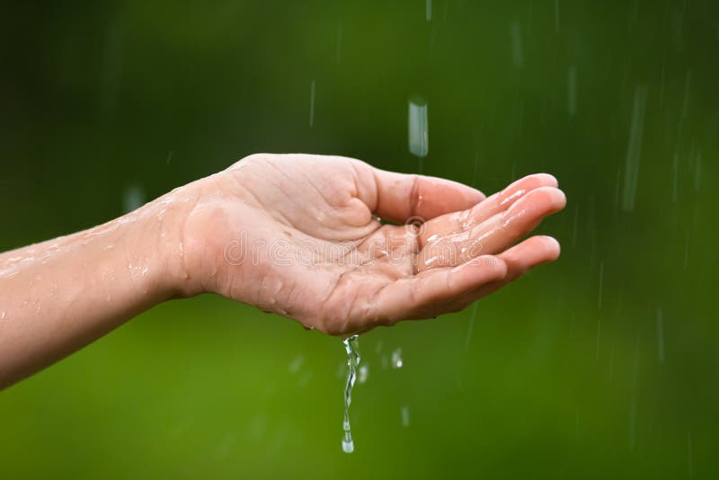Hand of Women Catching Rain Drops Stock Image - Image of drop, clean ...