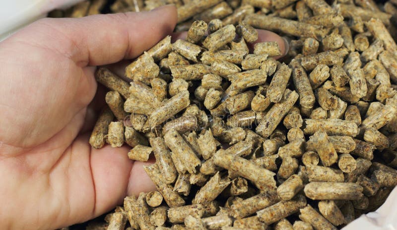Hand and wood pellets stock photo. Image of energy, natural - 62628364