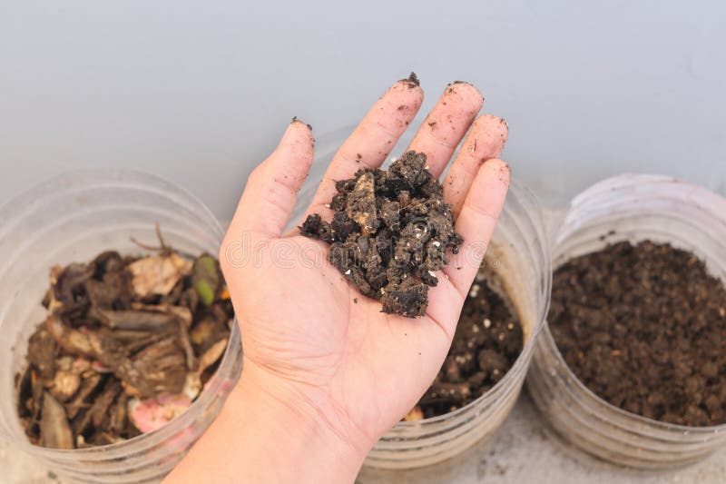 Hand Working on Indoor Diy or Do it Yourself Compost of Kitchen Scraps ...