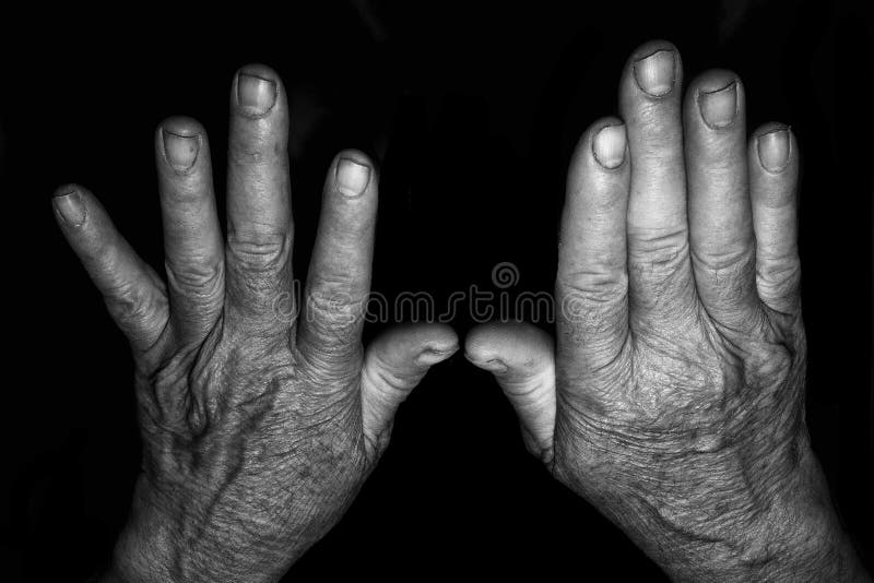The hand of a working man stock photo. Image of leaf - 251686624