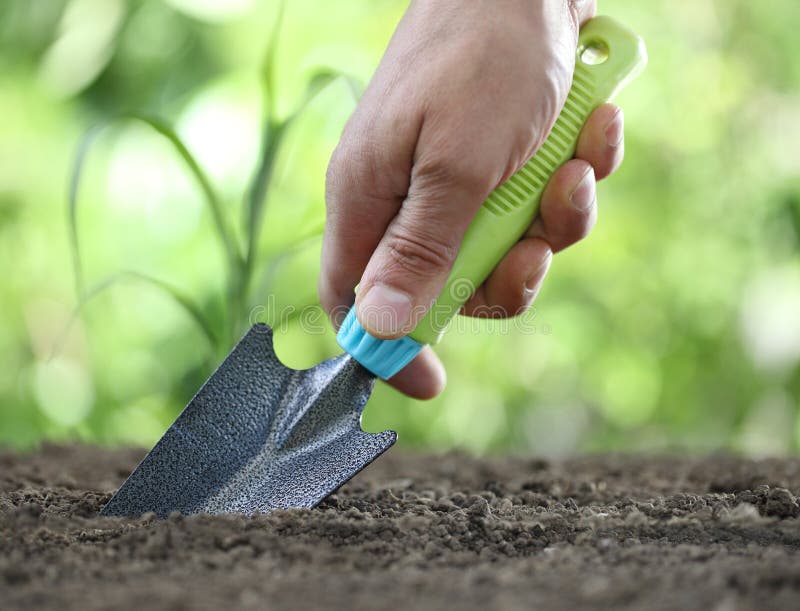 Hand Works Soil with Tool, Close Up Stock Image - Image of holding ...