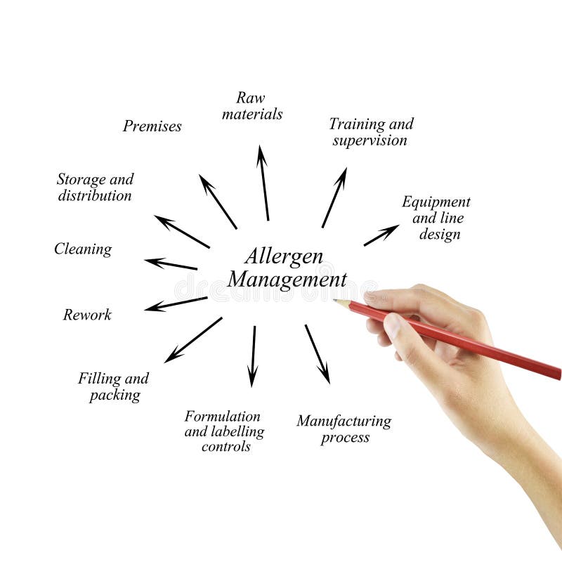 Hand Writing Element of Allergen Management for Business Concept Stock ...