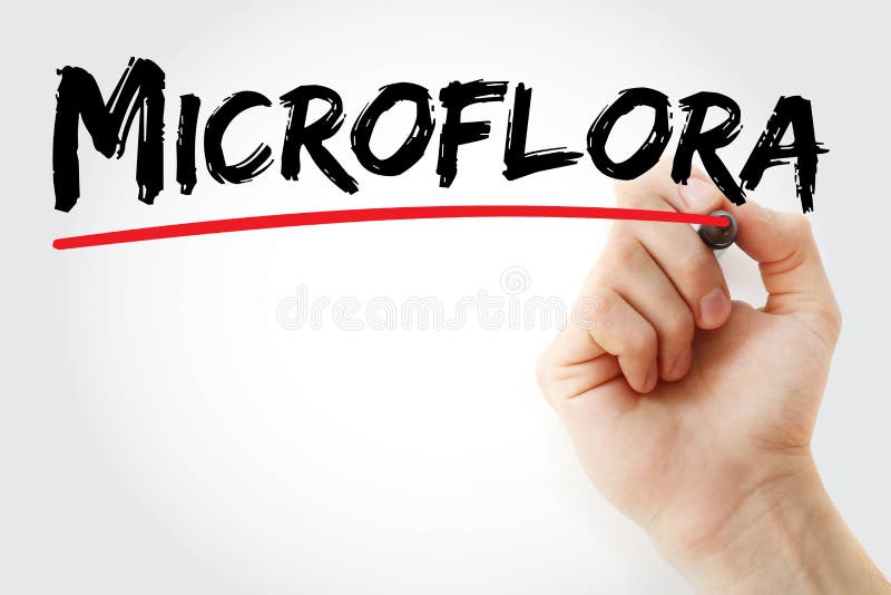 Hand Writing Microflora with Marker, Concept Background Stock Image ...