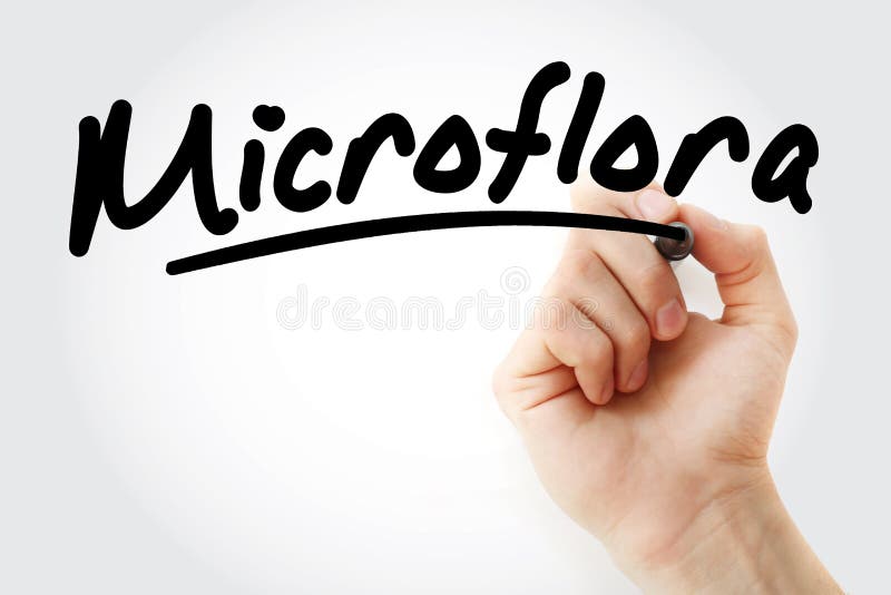 Hand Writing Microflora with Marker Stock Image - Image of marker ...