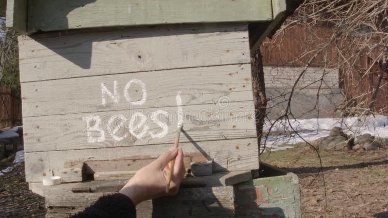 No bees in beehive stock video. Video of beekeeping - 144673589