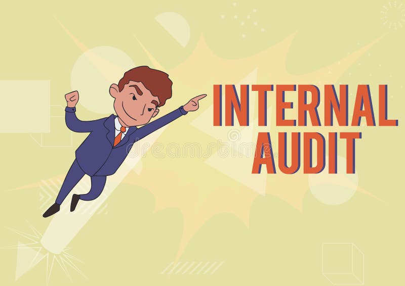 Conceptual Display Internal Audit. Concept Meaning Evaluates the ...