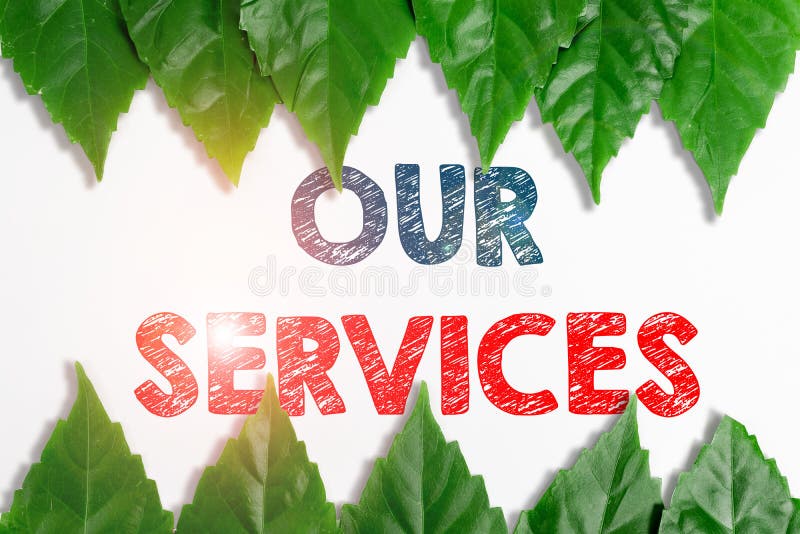 Text Caption Presenting Our Services. Business Showcase the Occupation ...