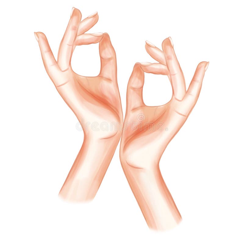 Hand in Yoga Mudra Chin Mudra Mudra for Consciousness Illustration ... Hand in Yoga Mudra Chin Mudra Mudra for Consciousness Illustration ...