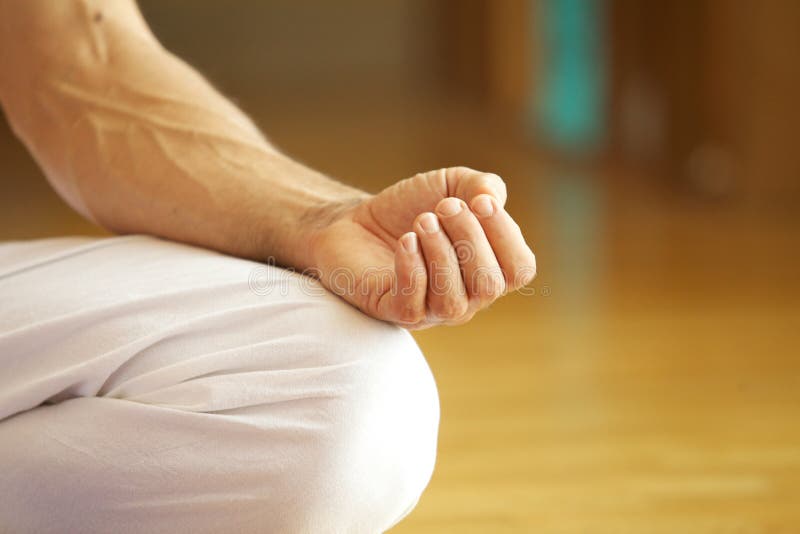 Hand in Yoga Pose stock photo. Image of lifestyle, person - 29284628