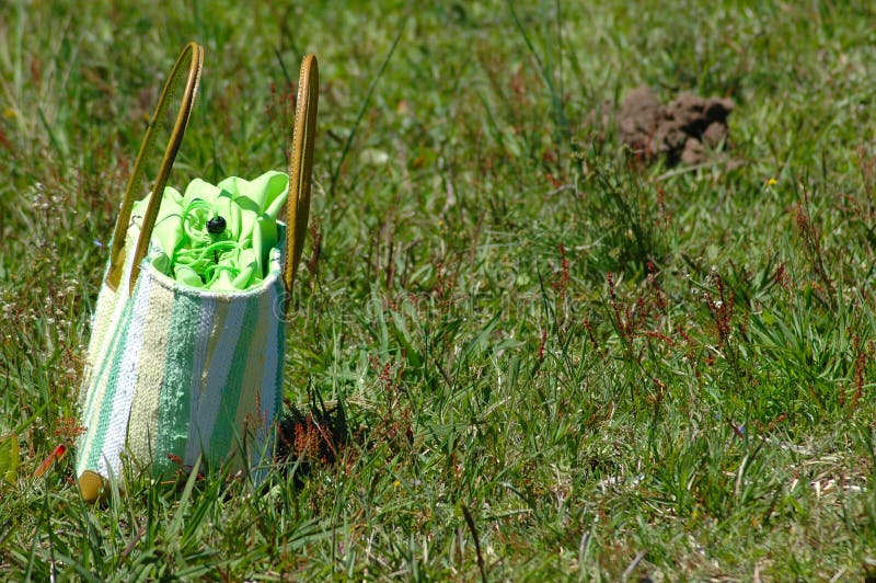 Handbag stock image. Image of sitting, sunshine, filled - 1425619