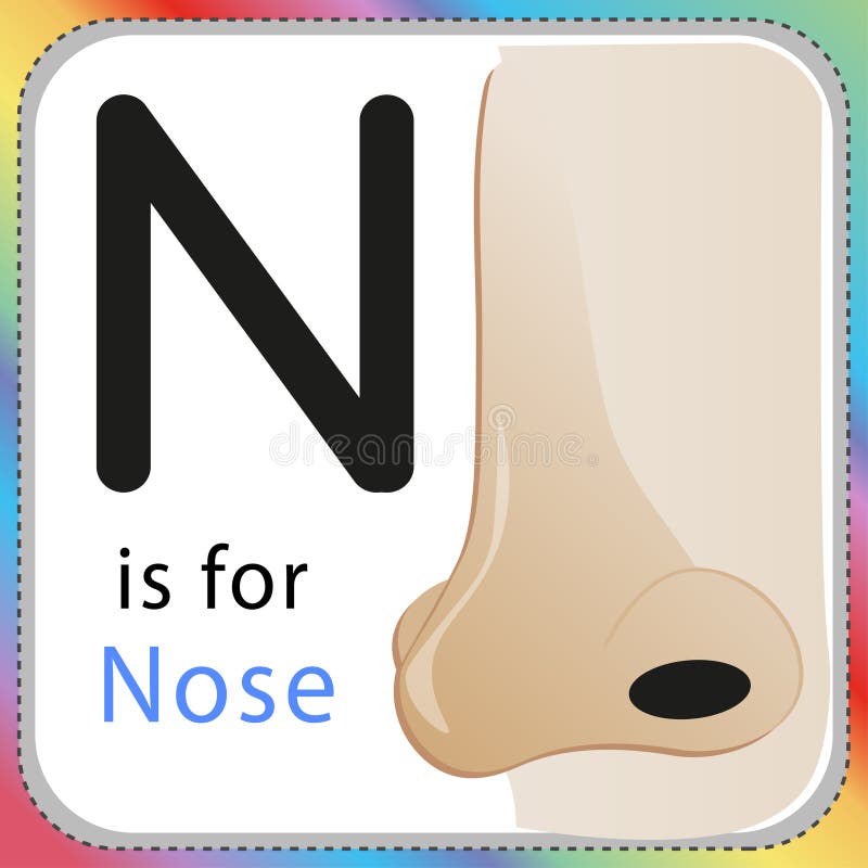Flashcard Letter N Nose Stock Illustrations – 9 Flashcard Letter N Nose ...