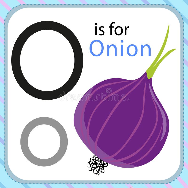 Picture Illustration for Alphabet Letter O for Onion for Kids Stock ...