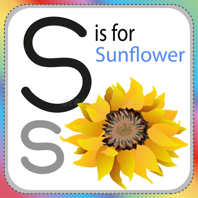 English Alphabet Flashcards for Kids - Learning Uppercase Lowercase S ...