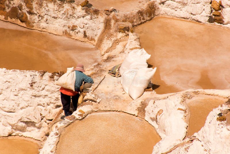 Worker Caring Salt Moray Peru Editorial Stock Photo - Image of farm ...