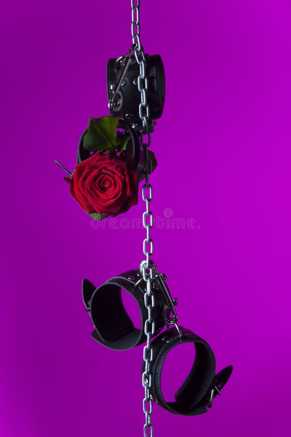 Handcuffs stock image. Image of purple, close, desire - 50461625