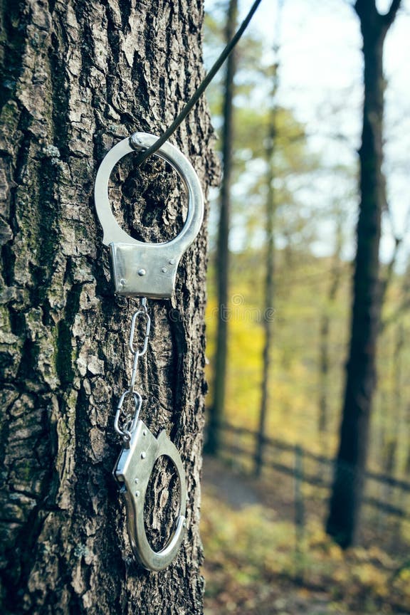 Handcuffs on tree trunk stock image. Image of fugitive - 61356675