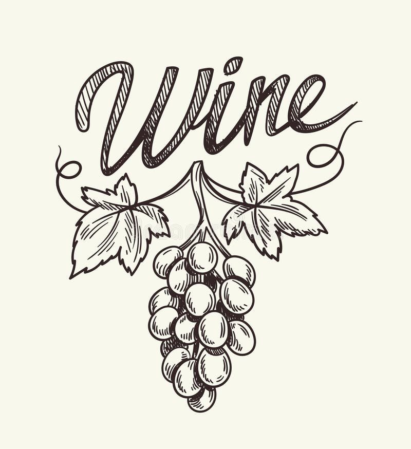 Handdraw Winery Vector Concept Stock Vector - Illustration of black ...