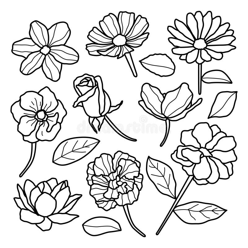 Handdrawn Aesthetic Realistic Floral Line Art Style Set Stock Vector ...