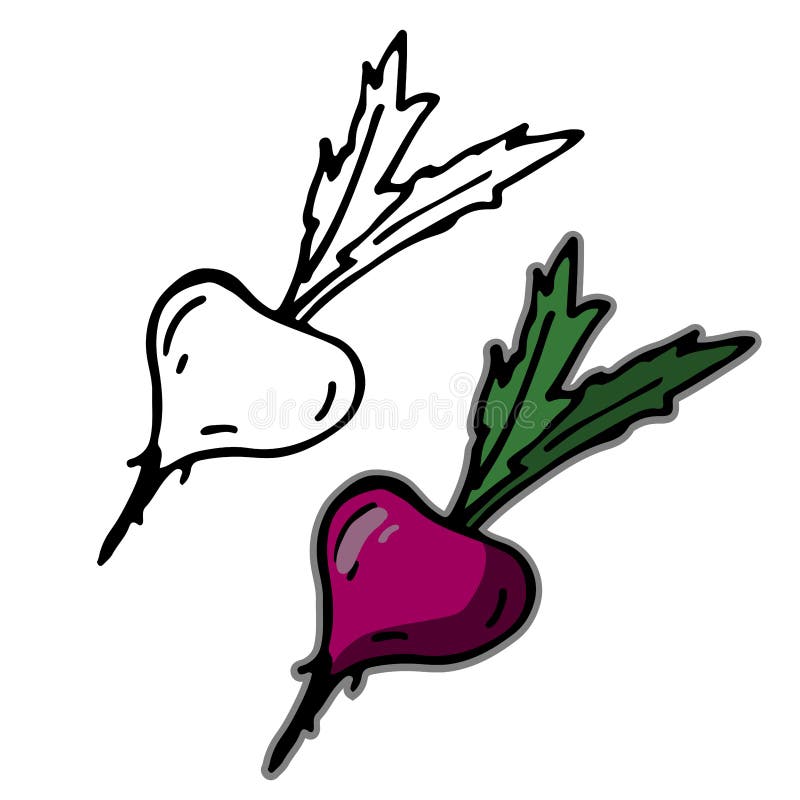 Beet Labels Stock Illustrations – 123 Beet Labels Stock Illustrations ...