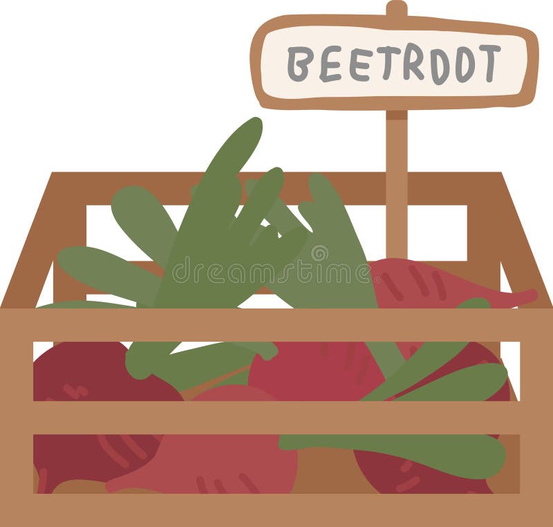 Handdrawn Beetroot in Box stock illustration. Illustration of healthy ...