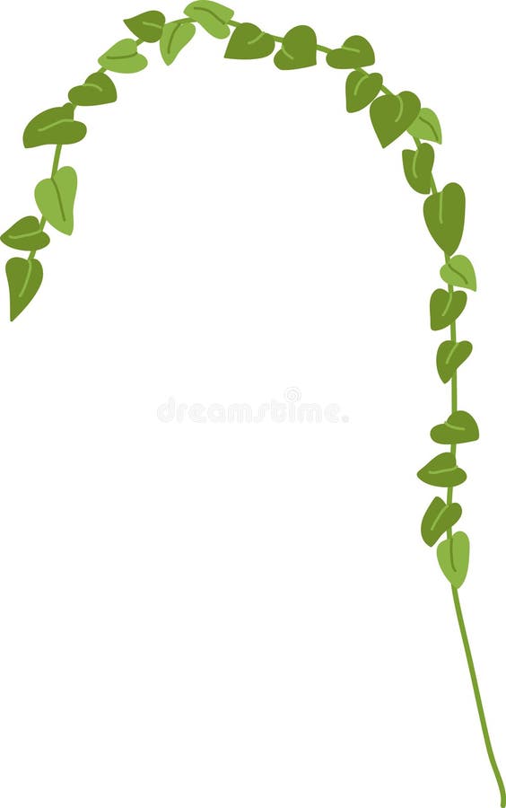 Handdrawn Leaves Climbing Plant Stock Vector - Illustration of ...