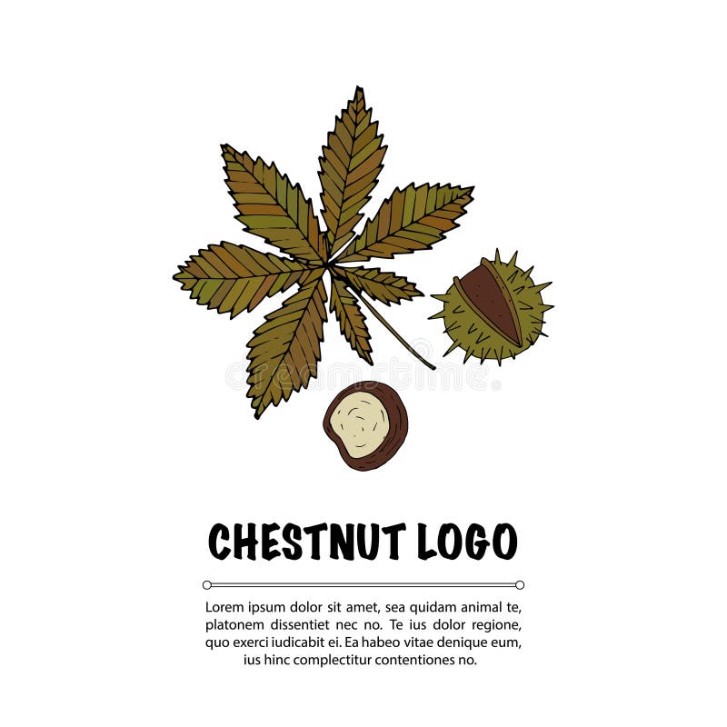 Chestnuts Logo Stock Illustrations – 101 Chestnuts Logo Stock ...