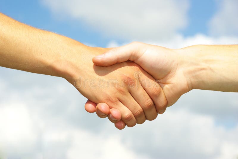 Menselijke Handen Die Groene Kleine Installatie Houden Stock Foto ...