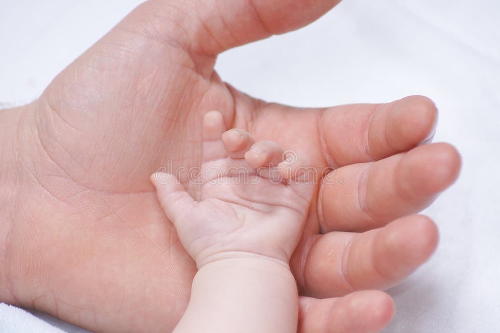 A very tiny baby hand stock photo. Image of birth, tiny - 151756862