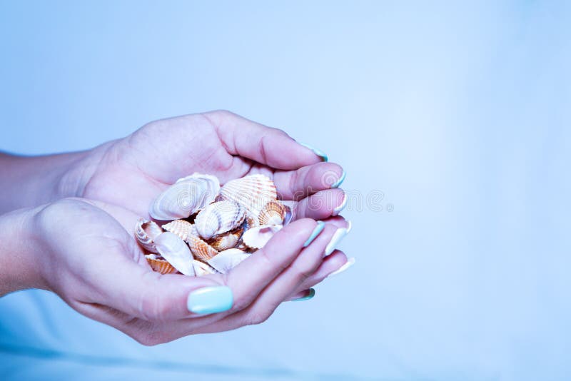 A Handful of Beautiful Shells Stock Image - Image of holidays ...