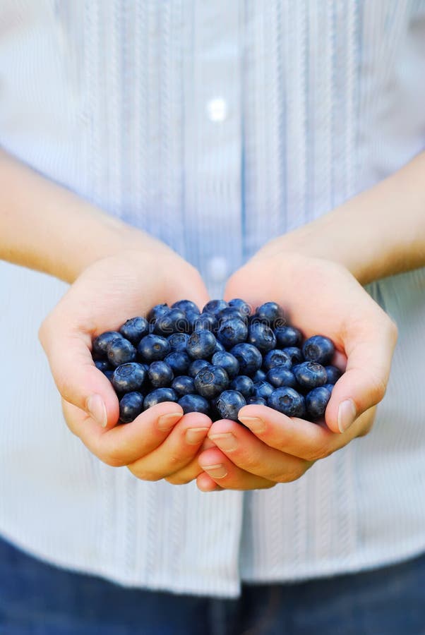 Handful of Blueberries stock photo. Image of healthy, color - 5851826