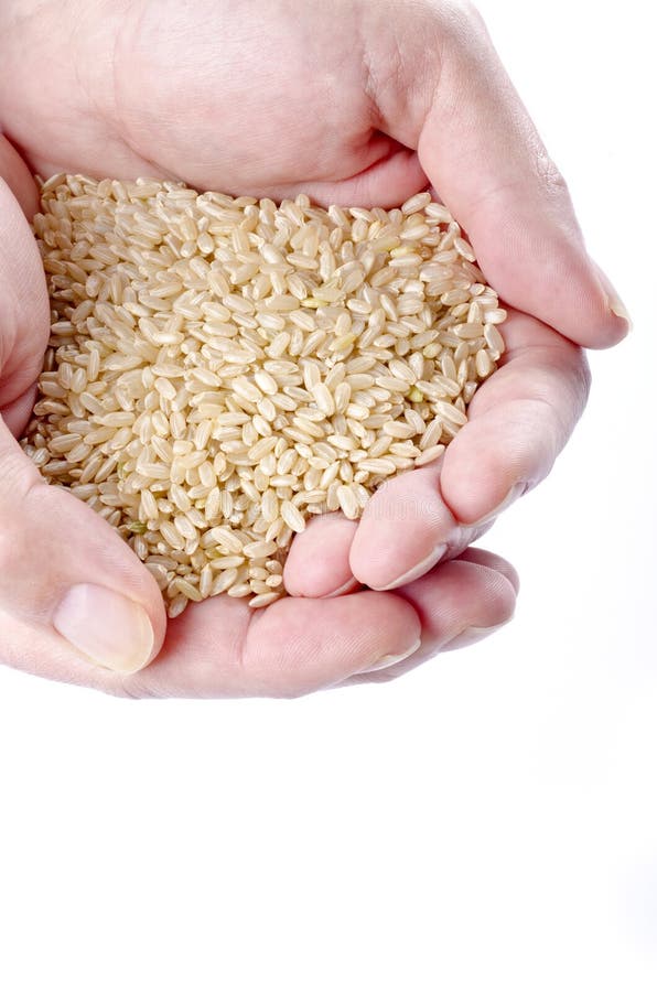 Handful of Brown Rice #1 stock image. Image of mans, macro - 28345827