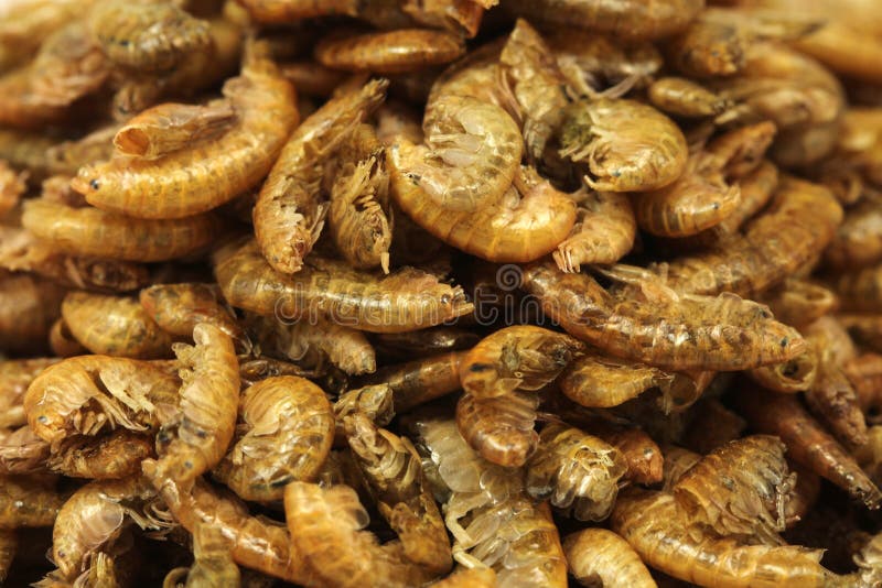A Handful of Dried Aquatic Crustaceans Stock Image - Image of mining ...