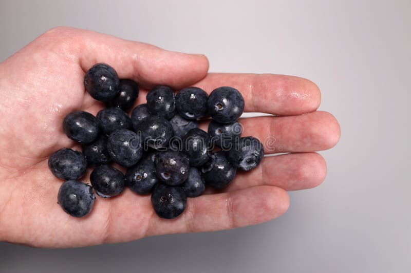 Handful of Fresh Blueberry in Hand Stock Photo - Image of harvest ...
