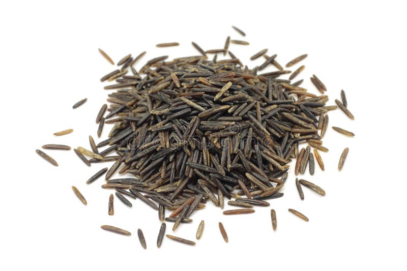 A Handful of Grain Wild Rice Stock Image - Image of water, plant: 64538383