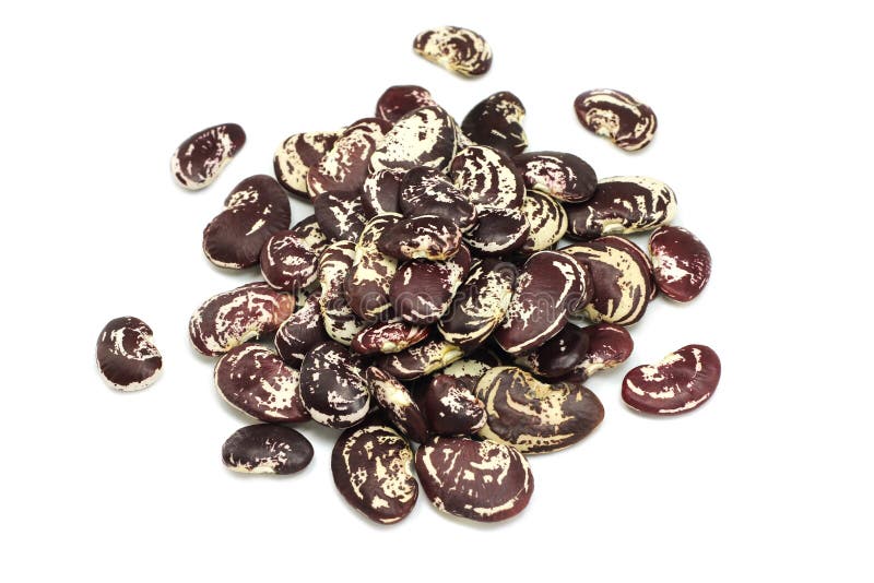 Spotted beans stock image. Image of grain, nature, assortment - 23800469