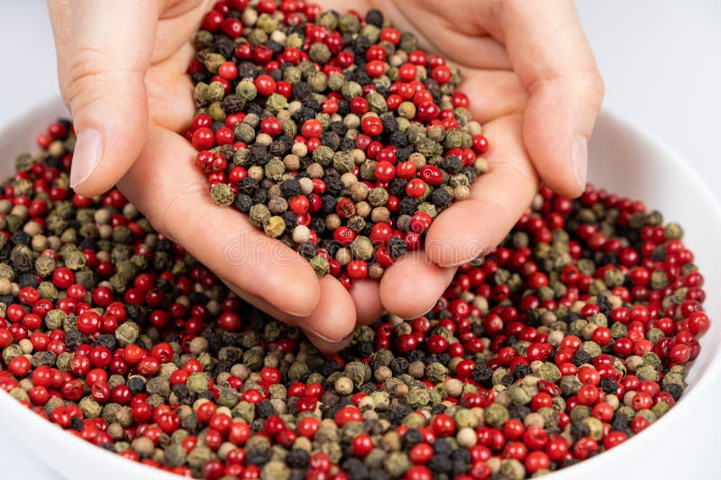 A Handful of Mixed Peppercorns - Red, Green, White and Black Peppers in ...