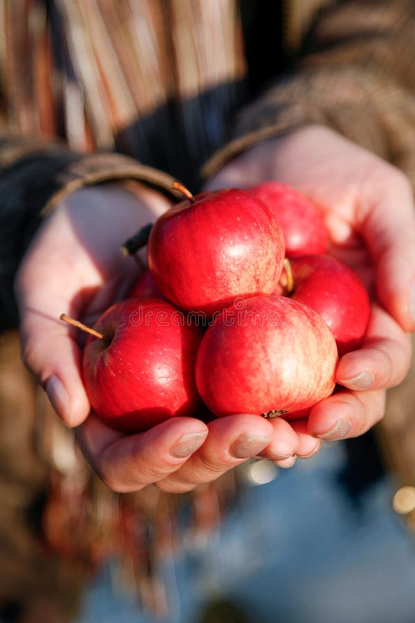 Handful Og Stock Photos - Free & Royalty-Free Stock Photos from Dreamstime