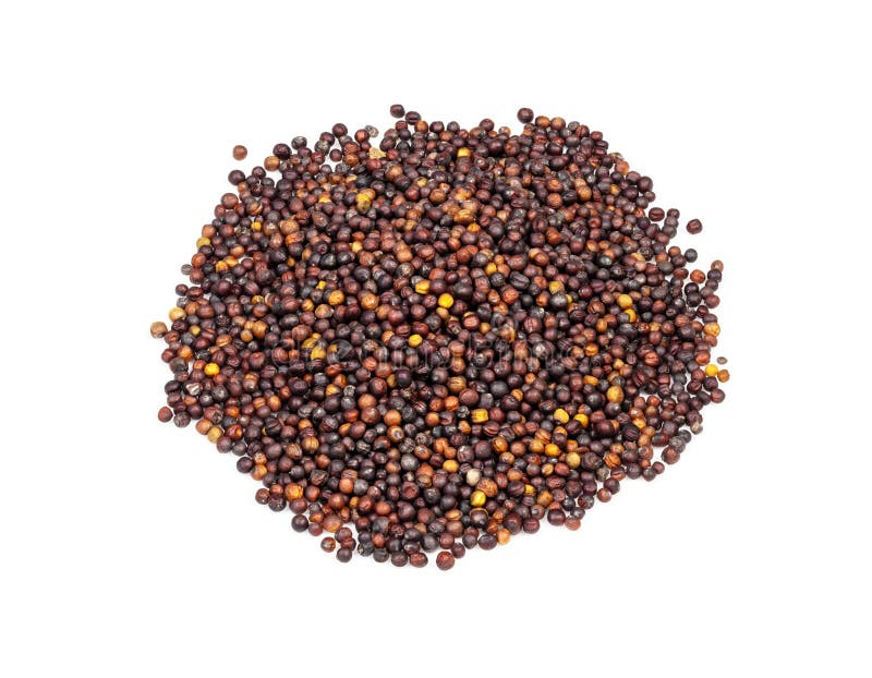 Handful of Rapeseeds Closeup on White Stock Photo - Image of handful ...