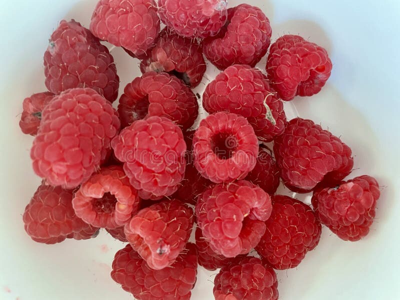 A Handful of Raspberries in a Bowl Stock Photo - Image of fruit ...