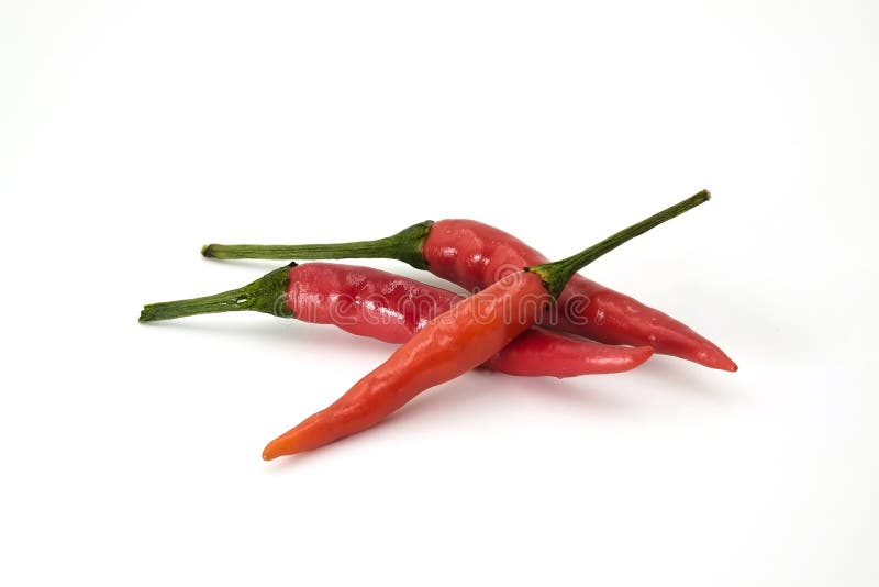Handful of Red Hot Thai Chili Papers Stock Photo - Image of healthy ...